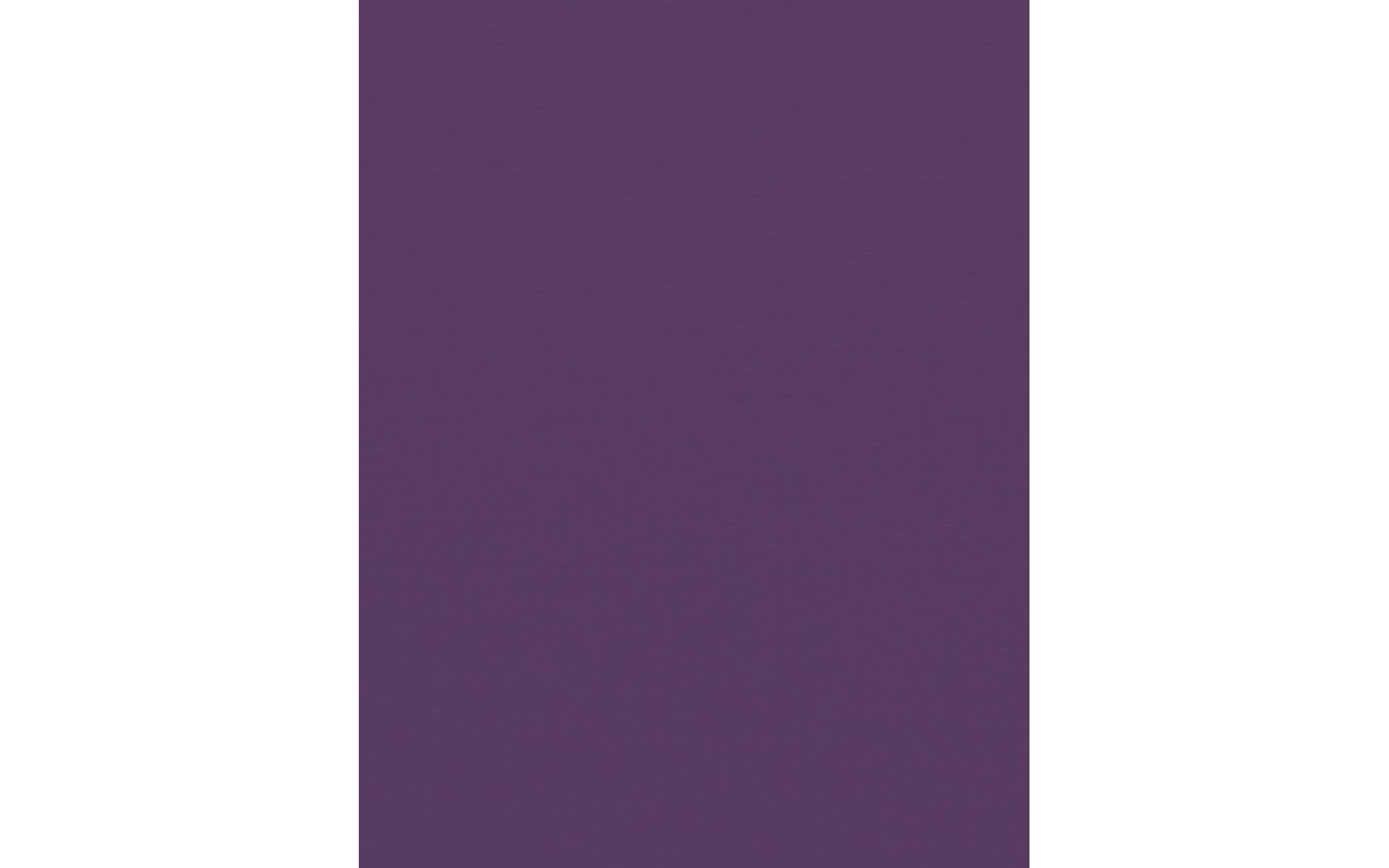 PA Paper Accents Textured Cardstock 8.5" x 11" Violet Dusk, 73lb ...