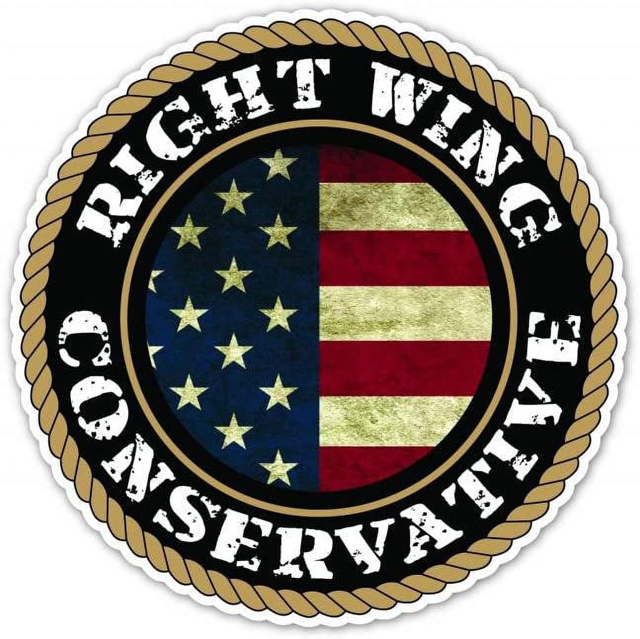 (PACK OF 10 STICKERS) Right Wing Conservative Patriotic USA Flag Vinyl ...