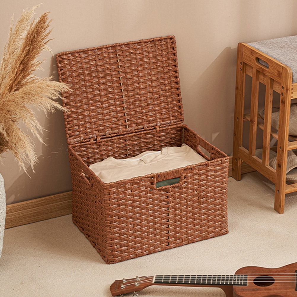 PAMINGONO Handwoven Rattan Storage Box Small Organizing Bin for Daily ...