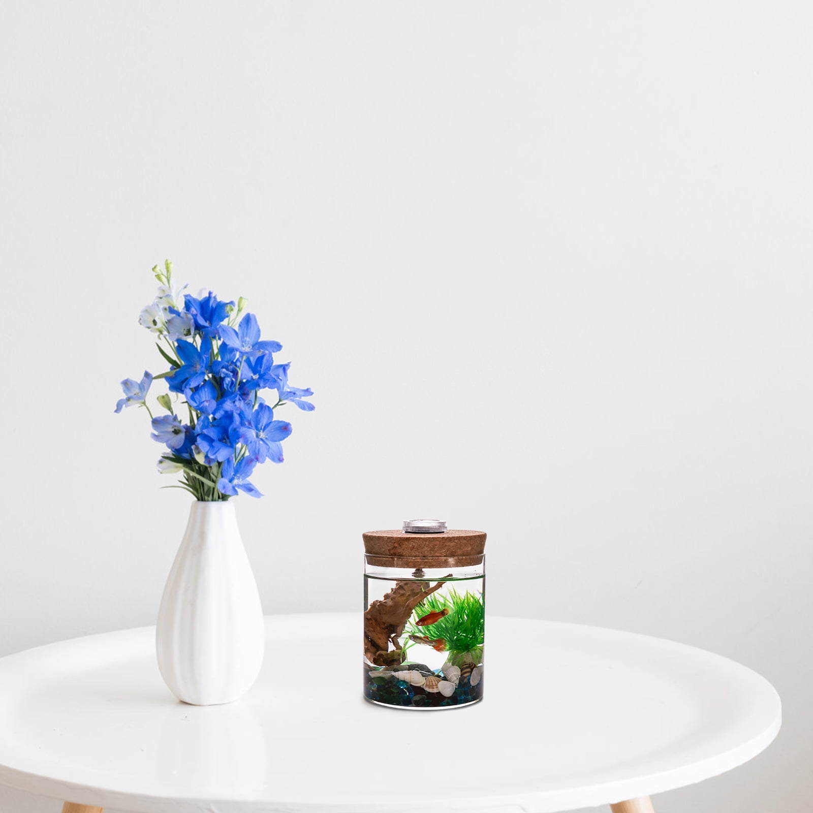 PAMINGONO Simple Design Cylindrical Terrarium Bottle Aquarium Planter ...