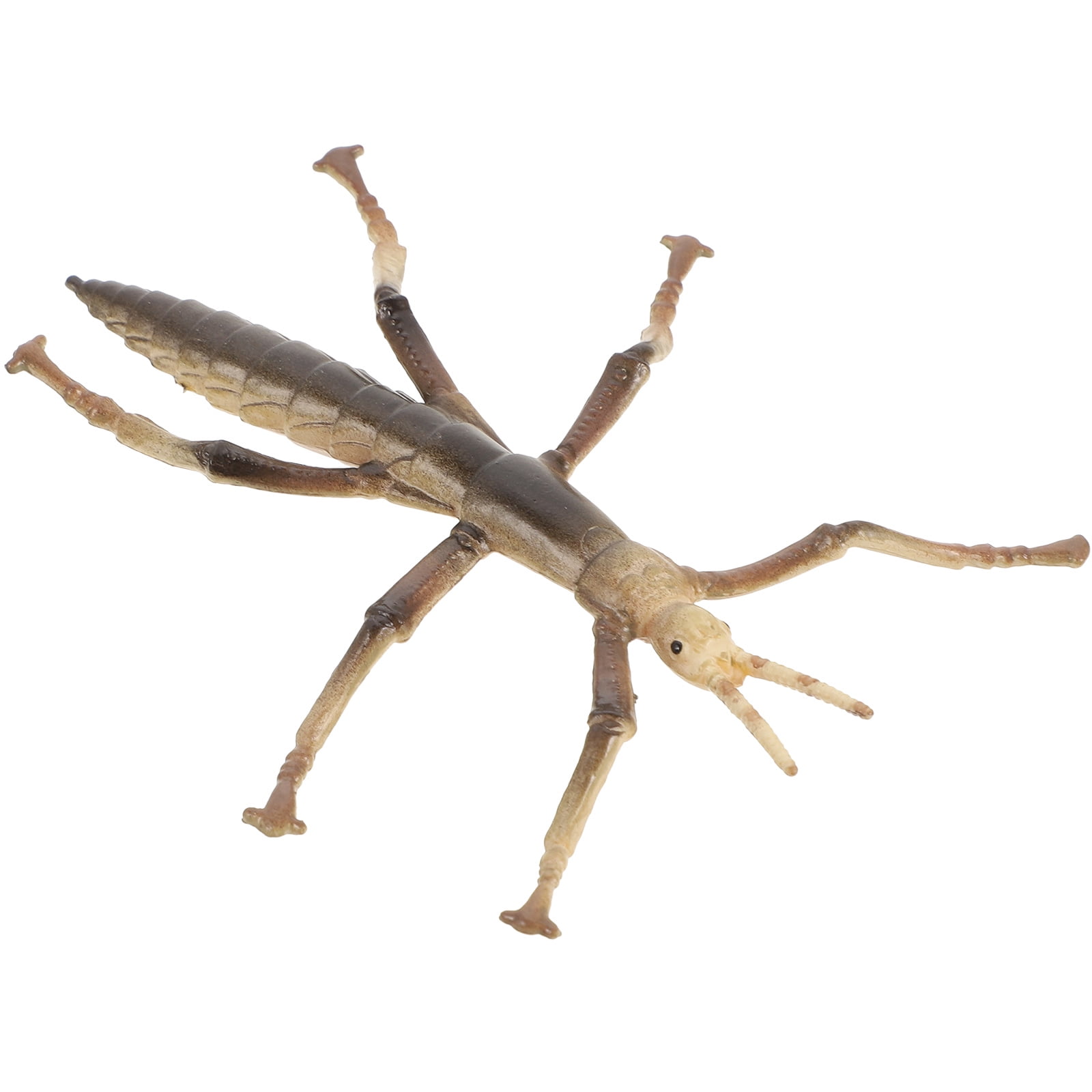 PAMINGONO Household Children Toy Stick Insect Toy Coffee 1Pcs - Walmart.com