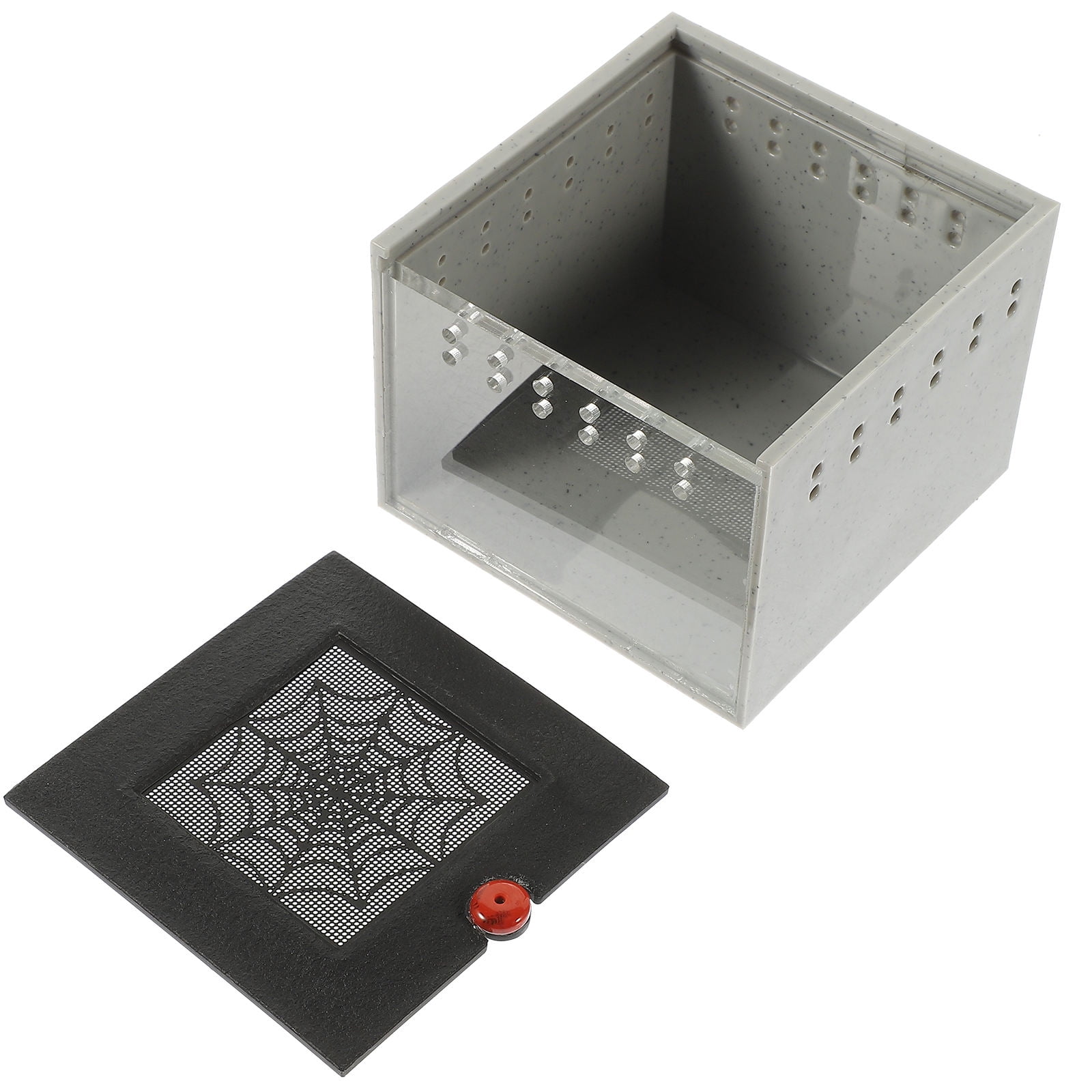 PAMINGONO 1Set Spider Terrarium Clear Viewing Feeding Boxes for ...