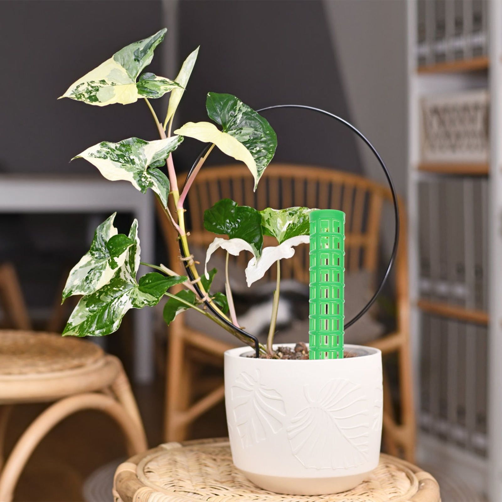 PAMINGONO 2Set Stackable Moss Poles for Climbing Plants Monstera ...