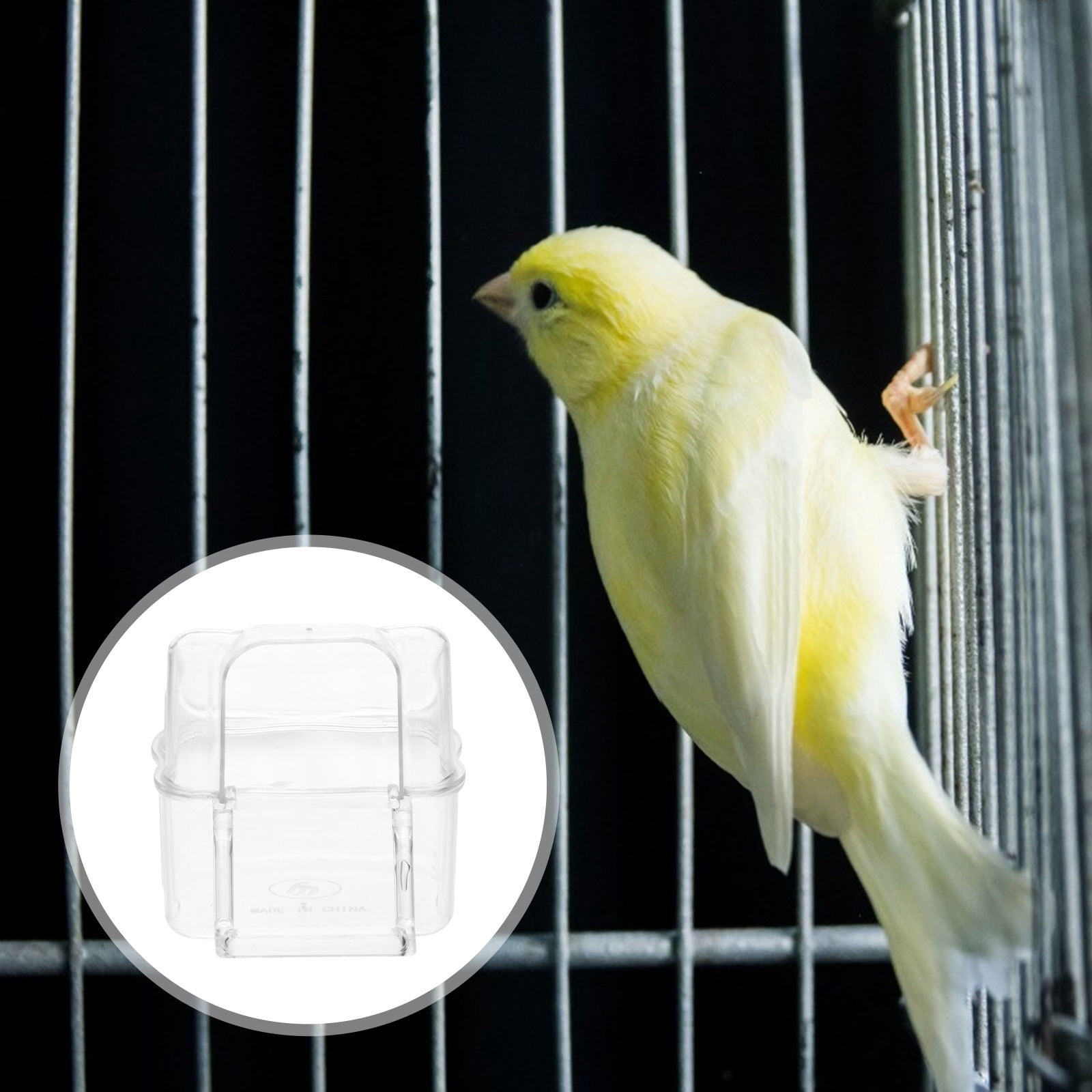PAMINGONO 3 Pcs No-spill Transparent Bird Feeder Acrylic Durable Design ...