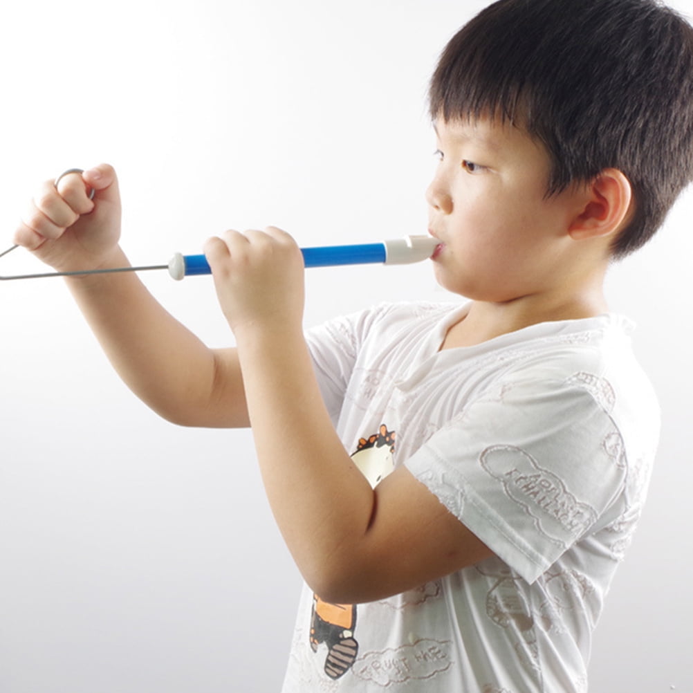 PAMINGONO 3Pcs Cylindrical Slide Whistle Toys Metal Pink for Music ...