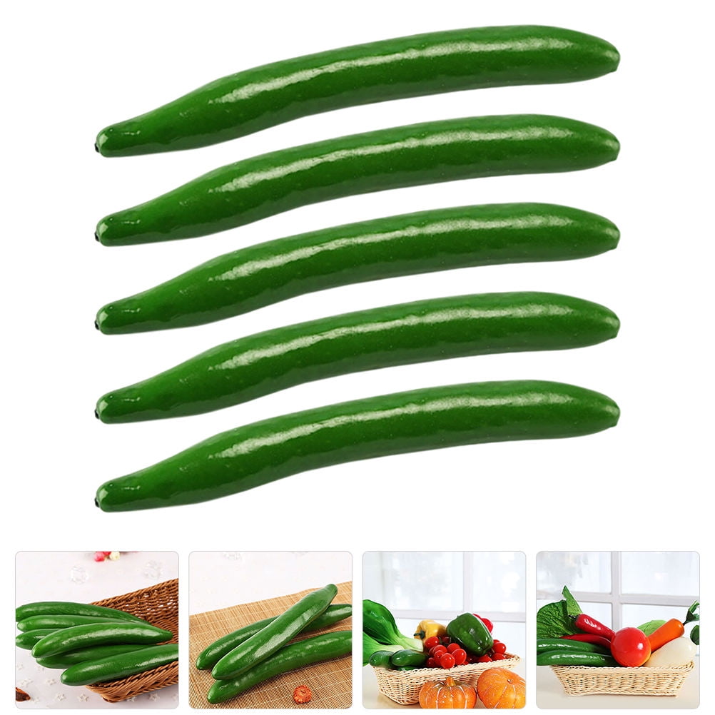 PAMINGONO 5Set Green Cylindrical Cucumber Models for Educators and ...