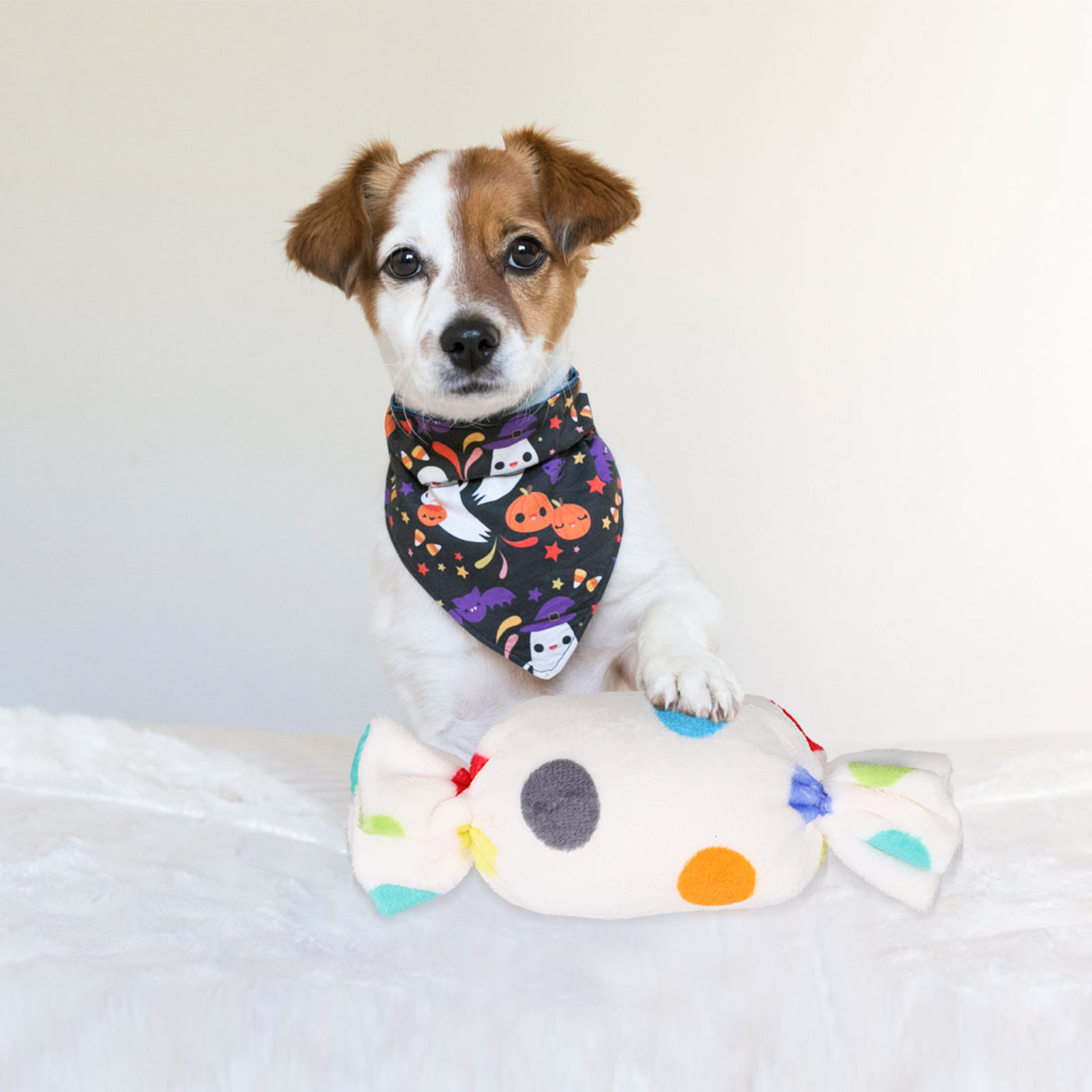 PAMINGONO Candy Shaped Plush Dog Toy 1Pcs Squeaky Pet Chew Toys For ...