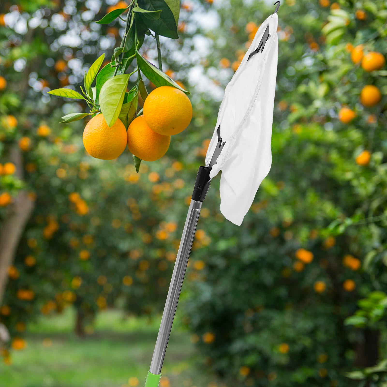 PAMINGONO Citrus Picker Professional Fruit Picker 1 Set Silver ...