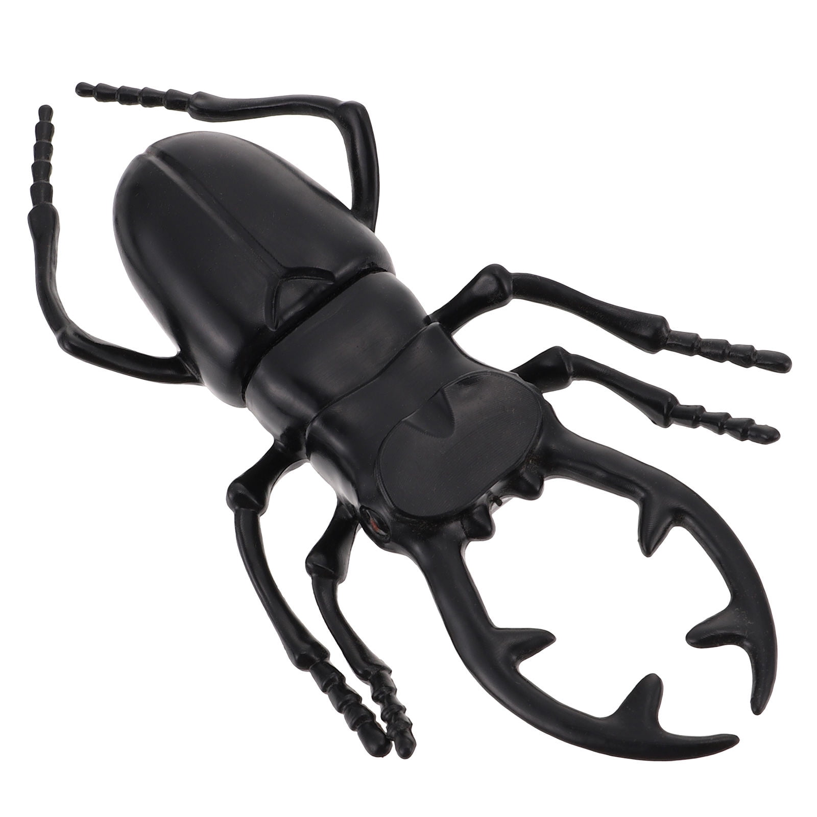 PAMINGONO Realistic Simulation Beetle Model Made of Plastic for ...