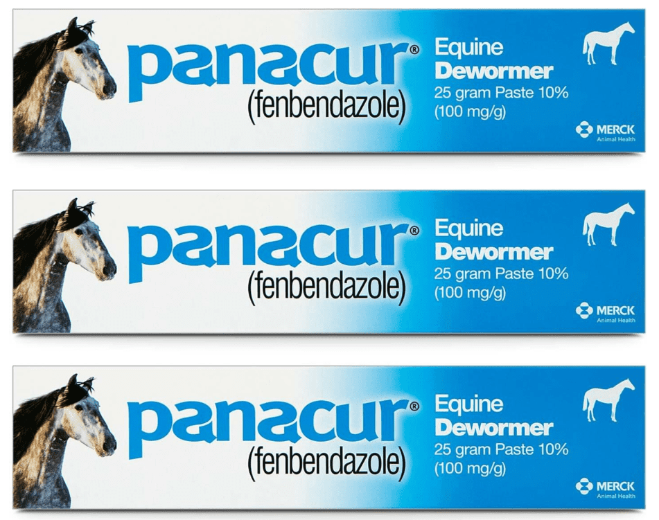 PANACUR Dewormer Horse Paste 10%, Fenbendazole Paste, 100mg Each (3 ...