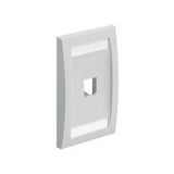 Panduit CFPE1IWY Faceplate 1pt Sgl Gang Exec Off Wht - Walmart.com