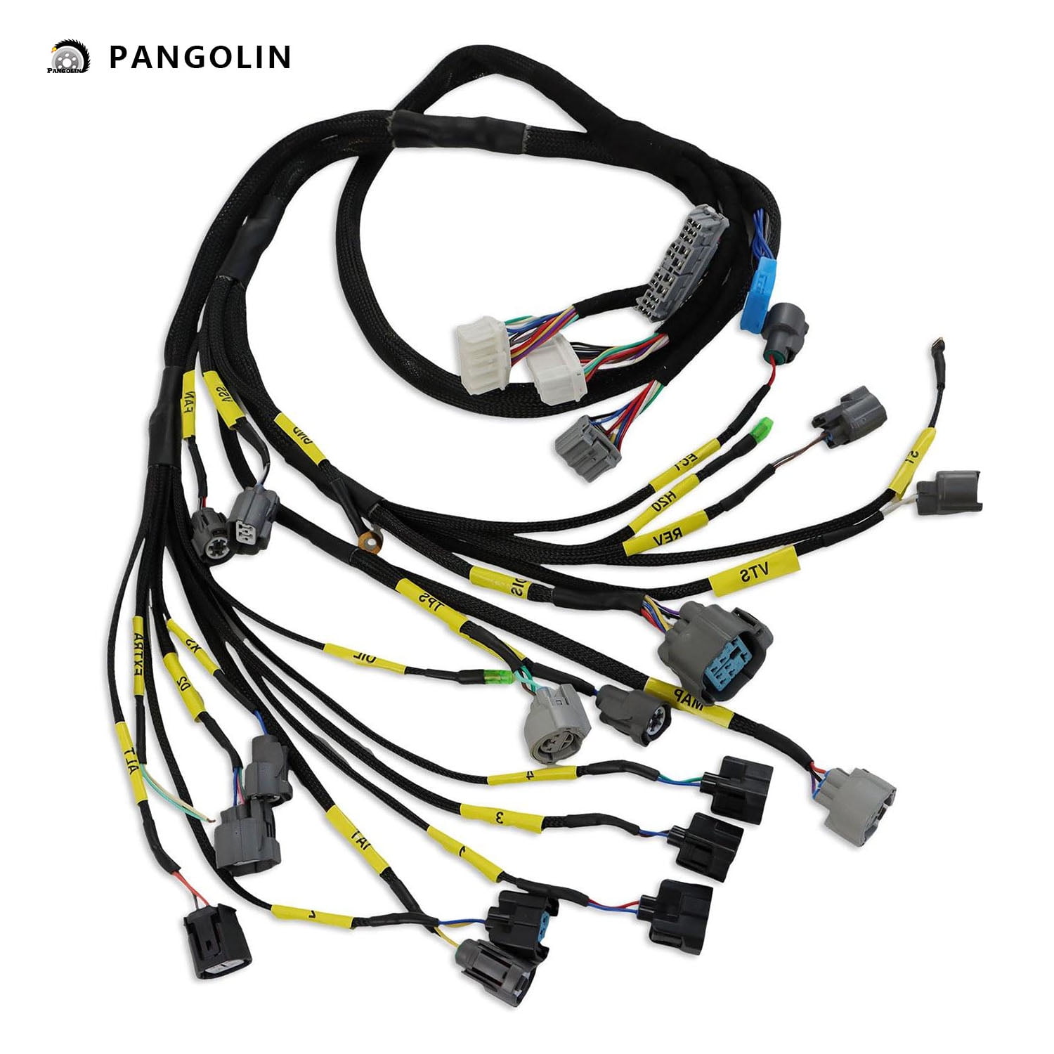 PANGOLIN D & B-Series Engine Wiring Harness CNCH-OBD2-1 Fits for 1989 ...
