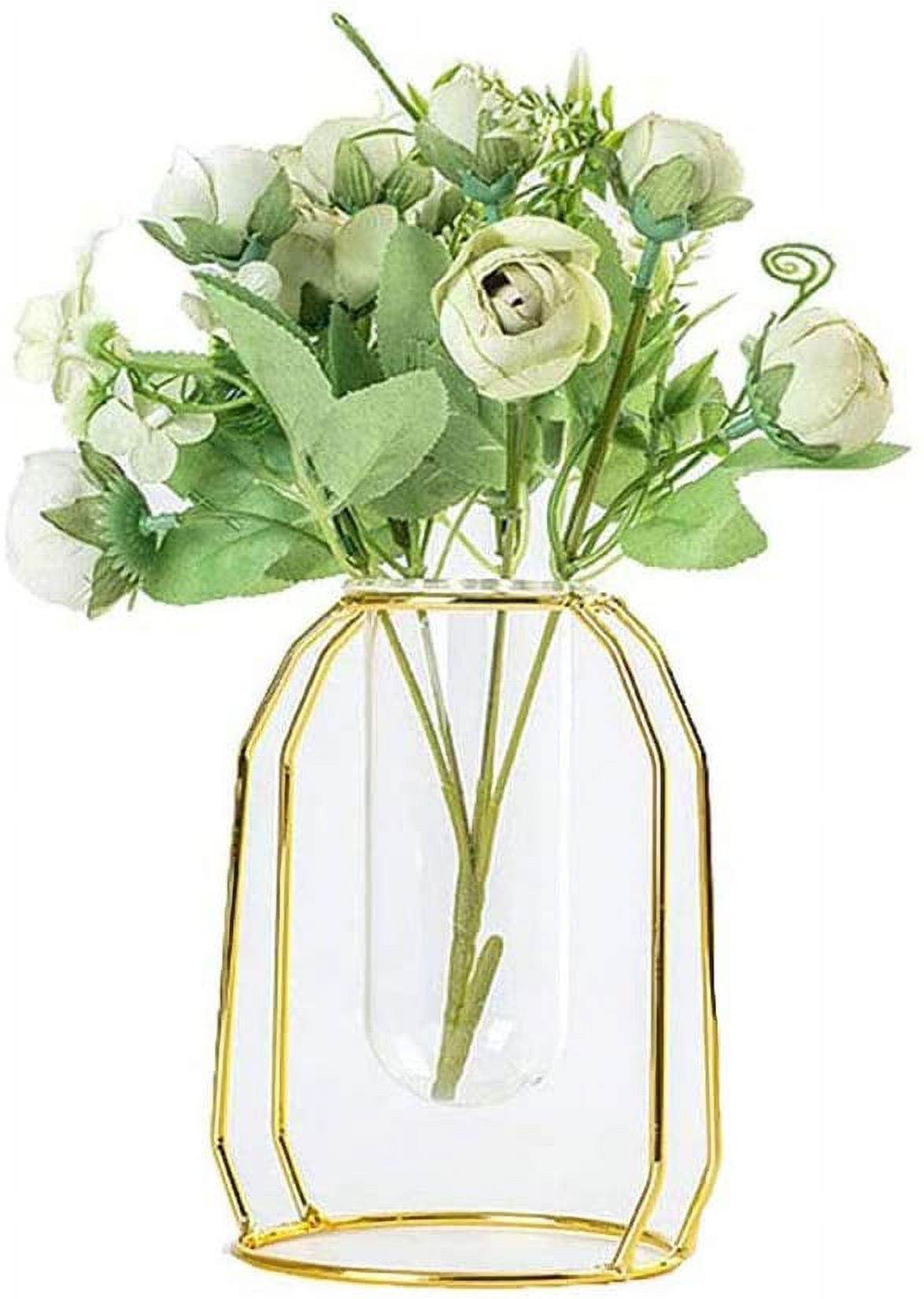 PANuYIN Modern Tabletop Metal Frame Test Tube Vase Planter Terrariums ...