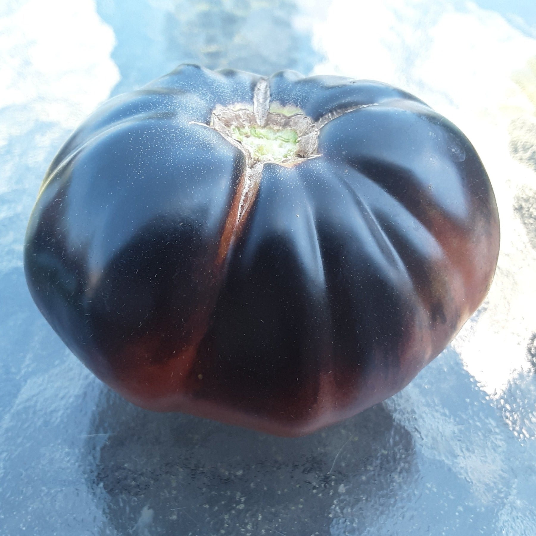 PAPAW'S GARDEN SUPPLY LLC. HELPING THE NEXT GENERATION GROW! Black ...