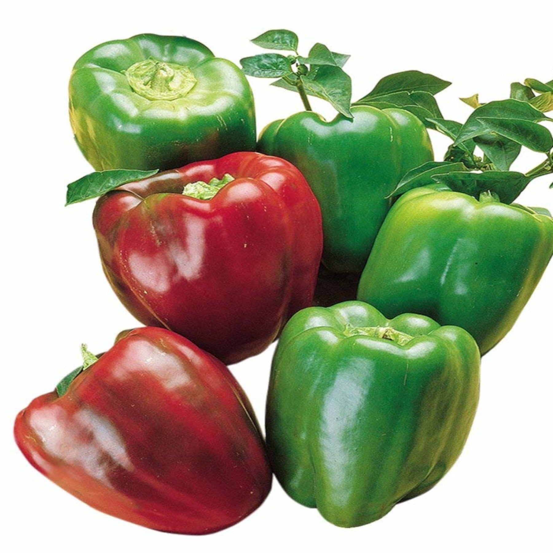 California Wonder Sweet Bell Pepper Heirloom Seeds - Walmart.com