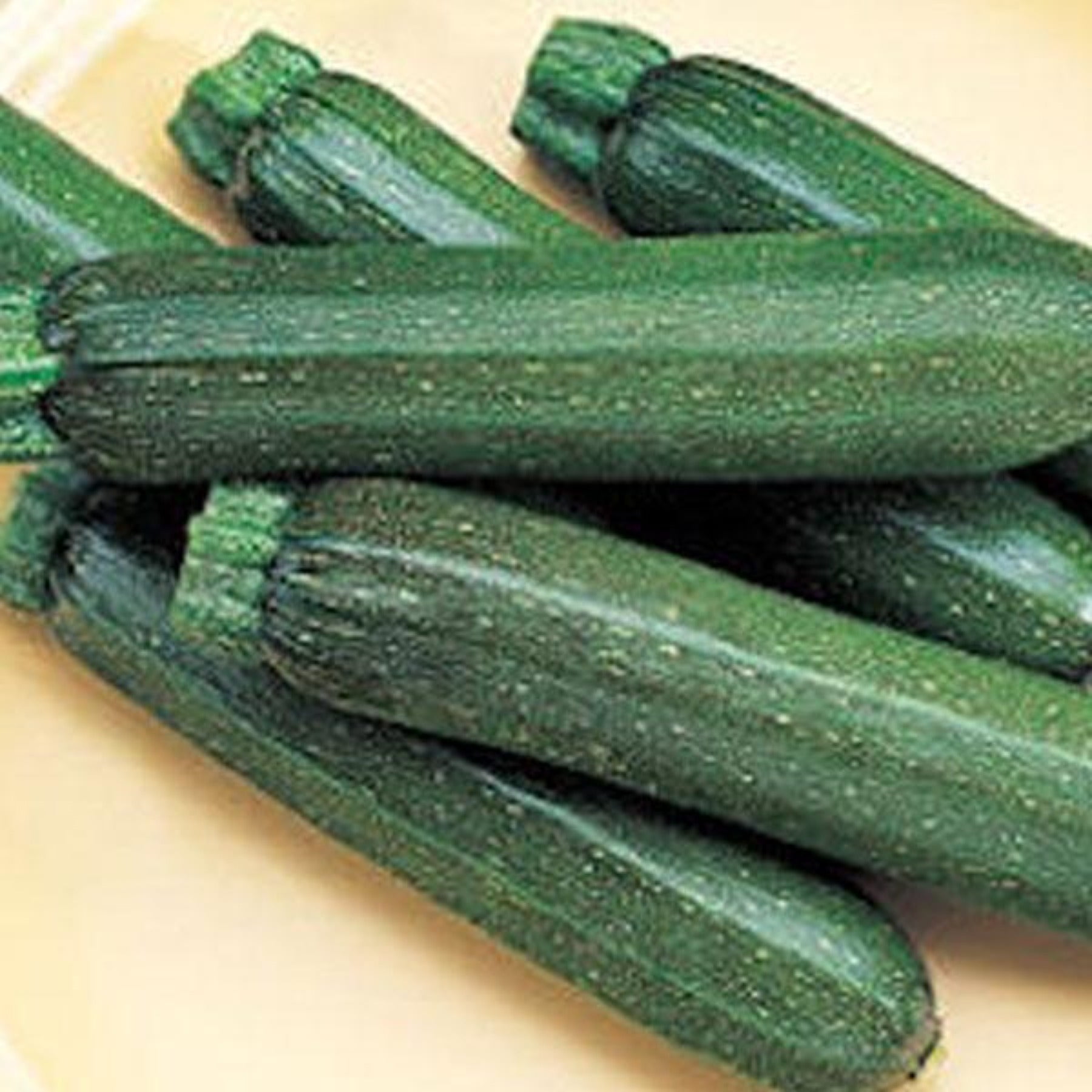 Cash Flow Hybrid Zucchini Summer Squash Seeds - Walmart.com