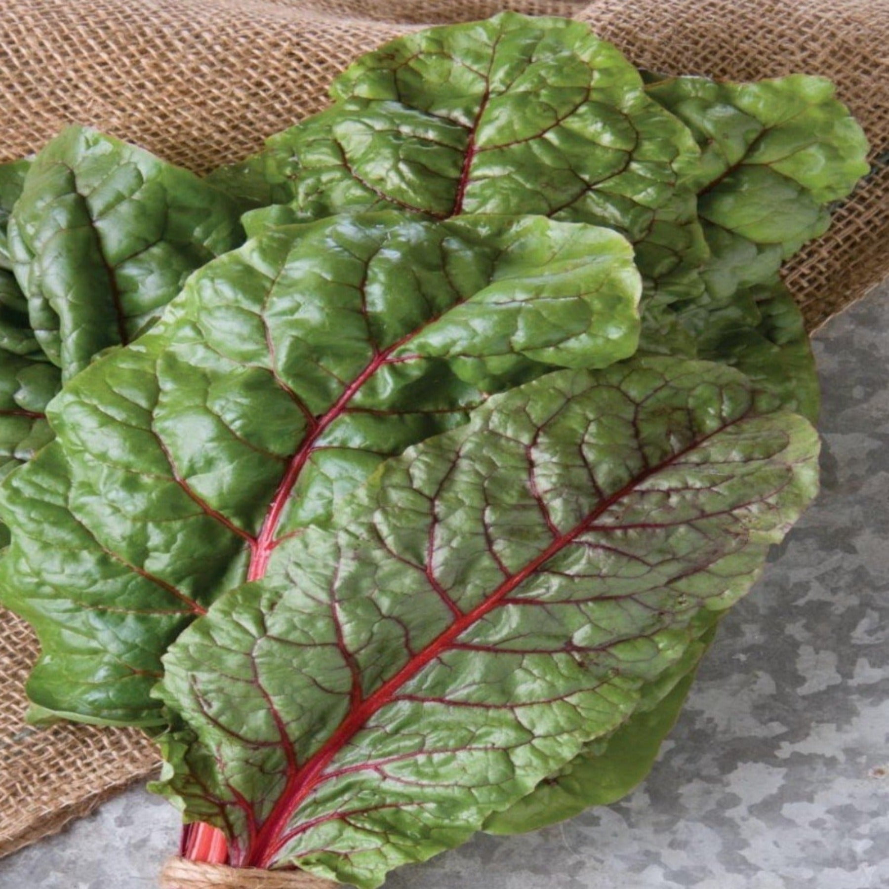 PAPAW'S GARDEN SUPPLY LLC. HELPING THE NEXT GENERATION GROW! Rhubarb ...