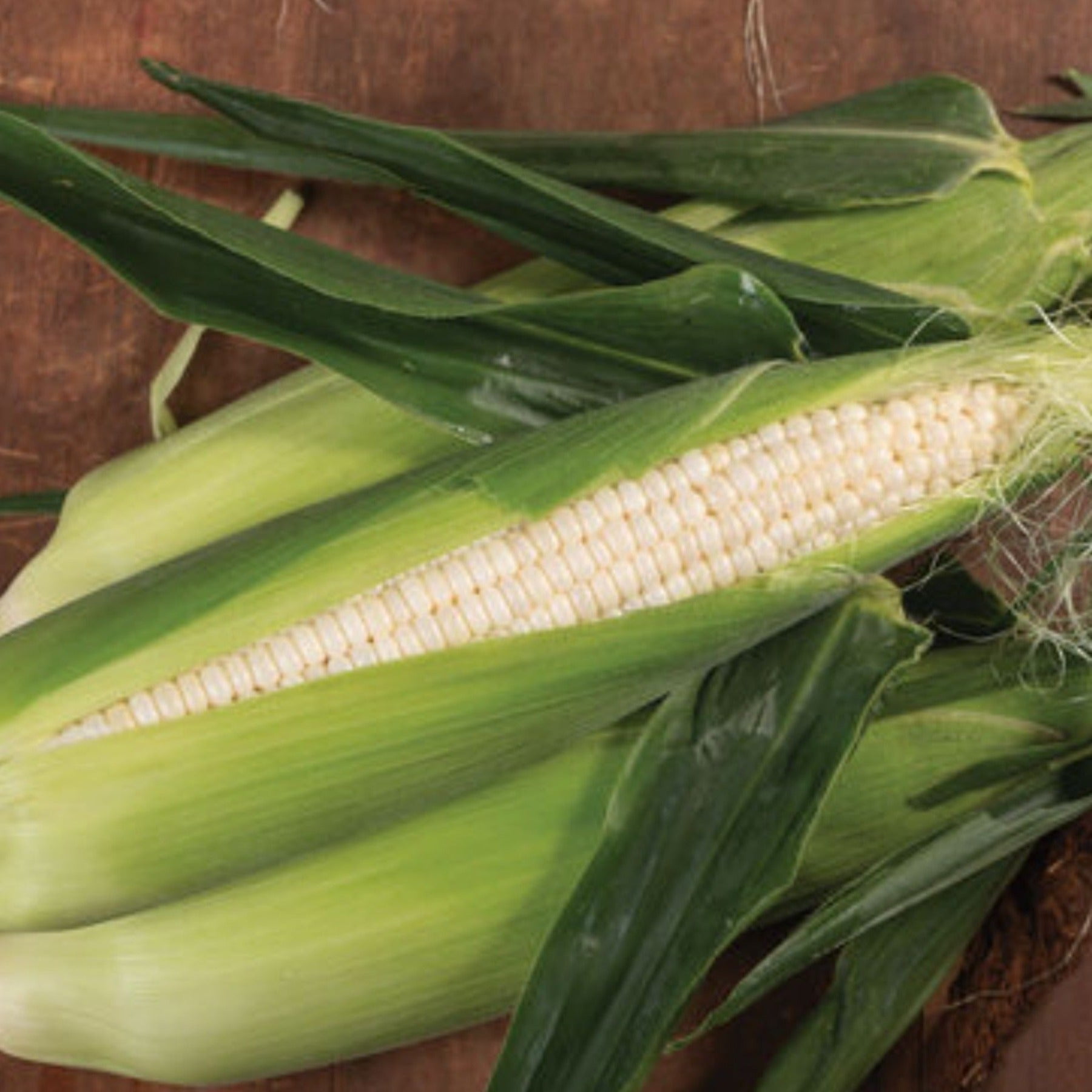 Silver Queen Treated Hybrid Sweet Corn Seed - Walmart.com