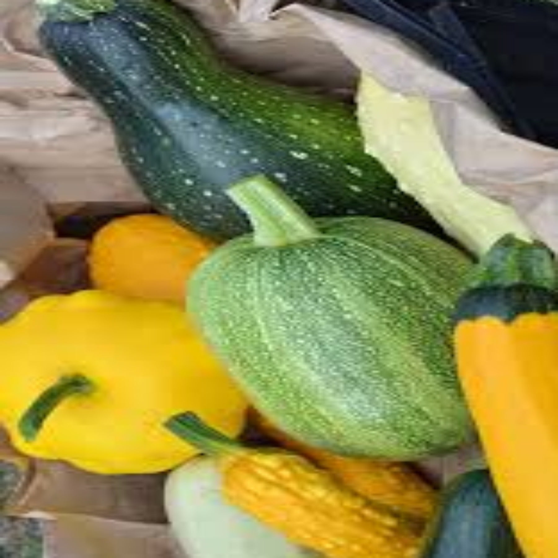 PAPAW'S GARDEN SUPPLY LLC. HELPING THE NEXT GENERATION GROW! Summer ...