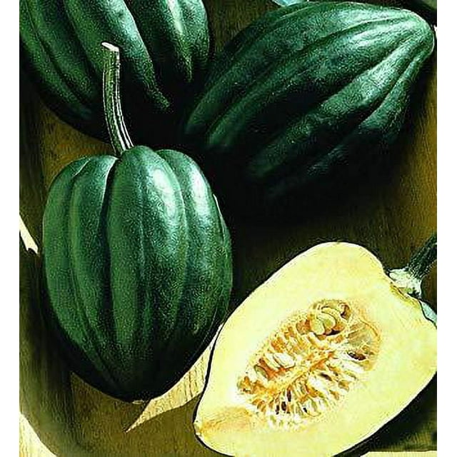 PAPAW'S GARDEN SUPPLY LLC. HELPING THE NEXT GENERATION GROW! Table King ...