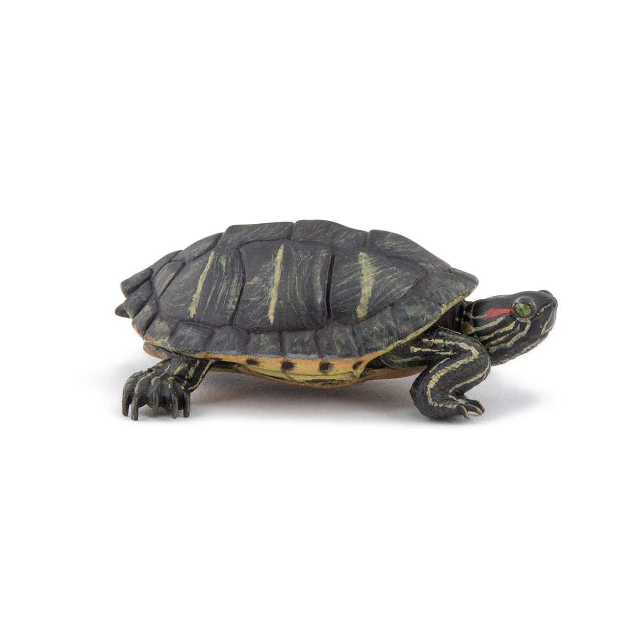 PAPO Florida turtle - Walmart.com