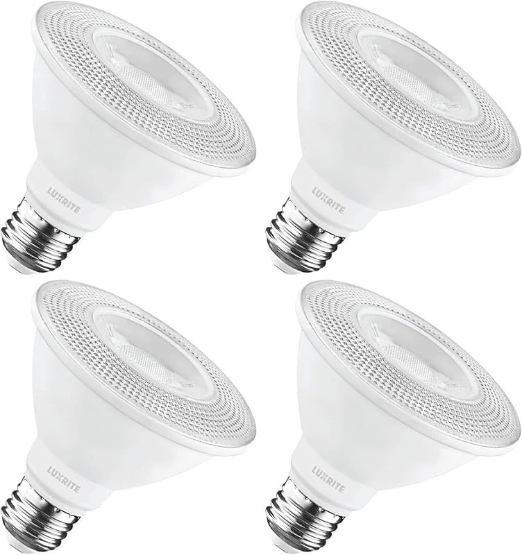 PAR30 Short Neck LED Flood Light Bulb, 75W Equivalent, 2700K Warm White ...