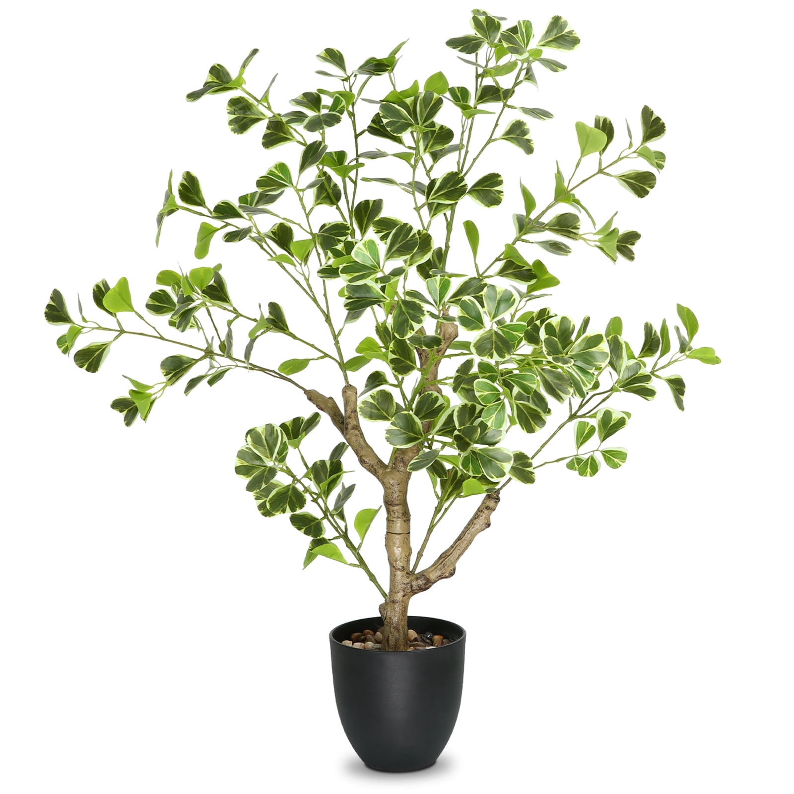 PARMPH 29'' Artificial Ficus Plants, White-Edged Green Heart-shaped ...