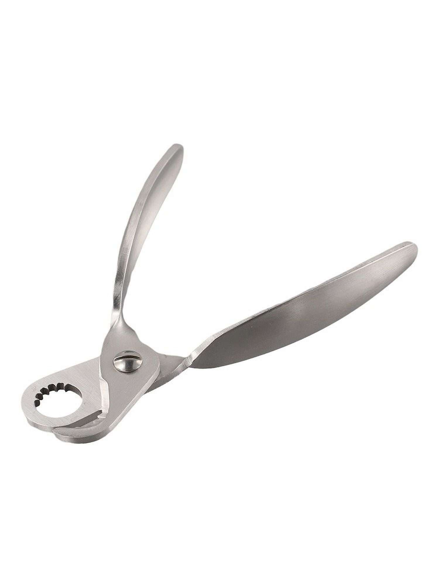 PASILI Snail Tail Cutting Tool,Stainless Steel Escargot Tail Removal ...