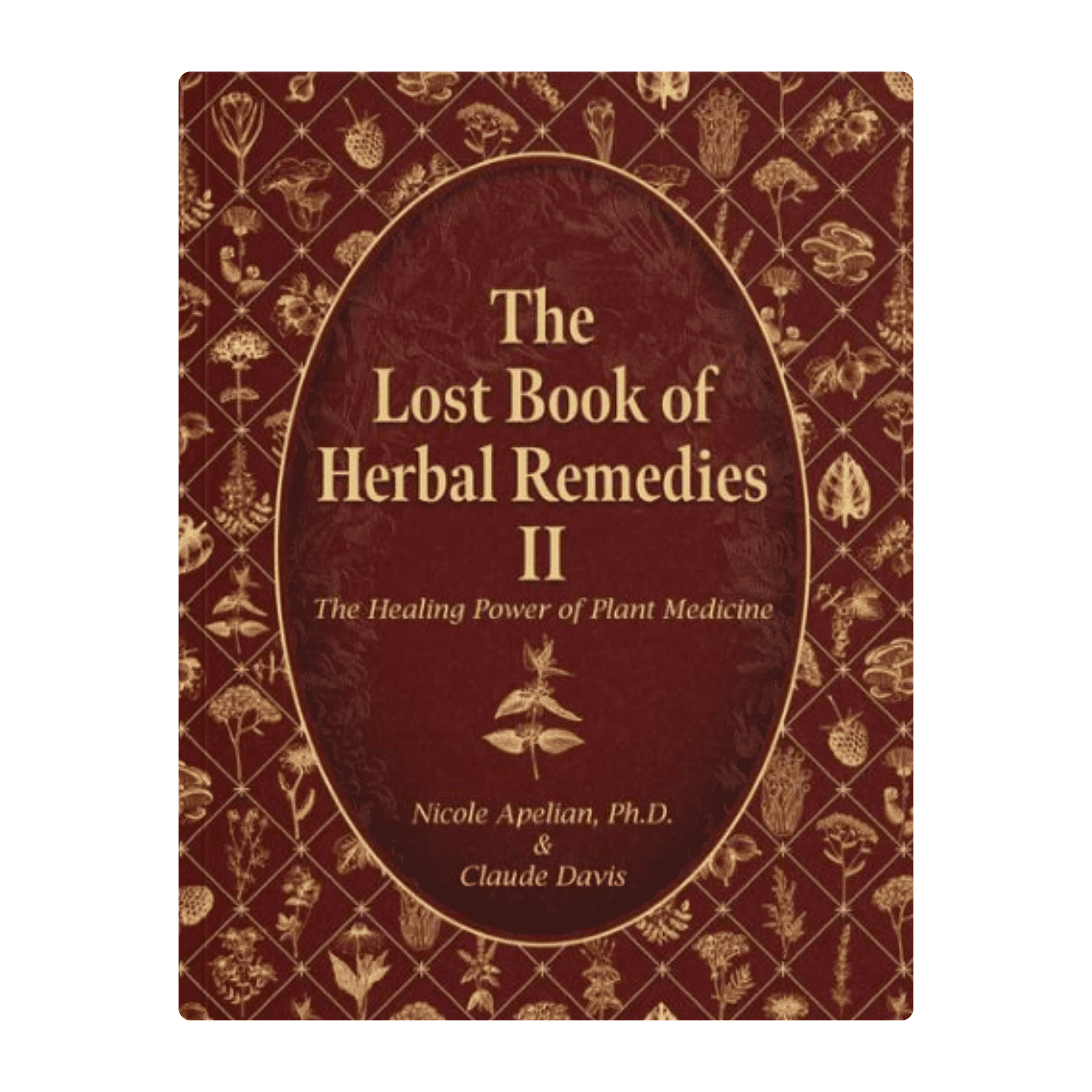 PASUTEC The Lost Book of Herbal Remedies II: Wild Food Adventures ...