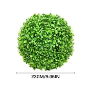 BOXWOOD WORLD Preserved Boxwood Ball Topiary for House Decor Potted ...