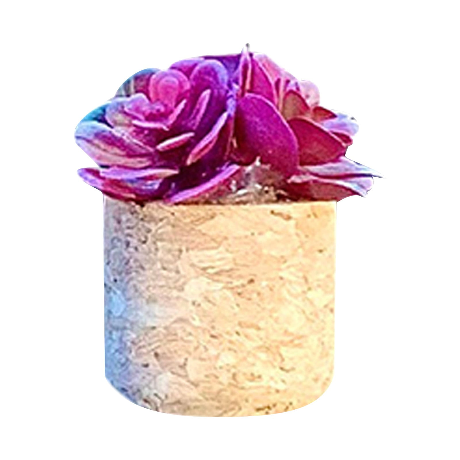 PATLOLLAV Cute Succulents Air Freshener,Vegetable Oil Diffuser,Car ...