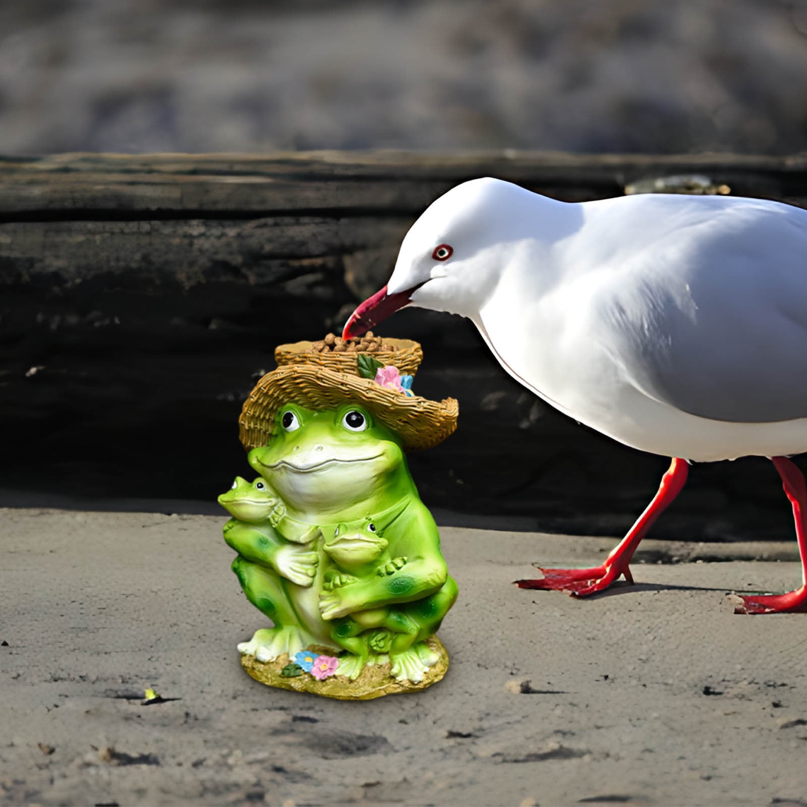 PATLOLLAV Frog Tray Bird Feeder for Outdoor,Frog Figurines Charming ...