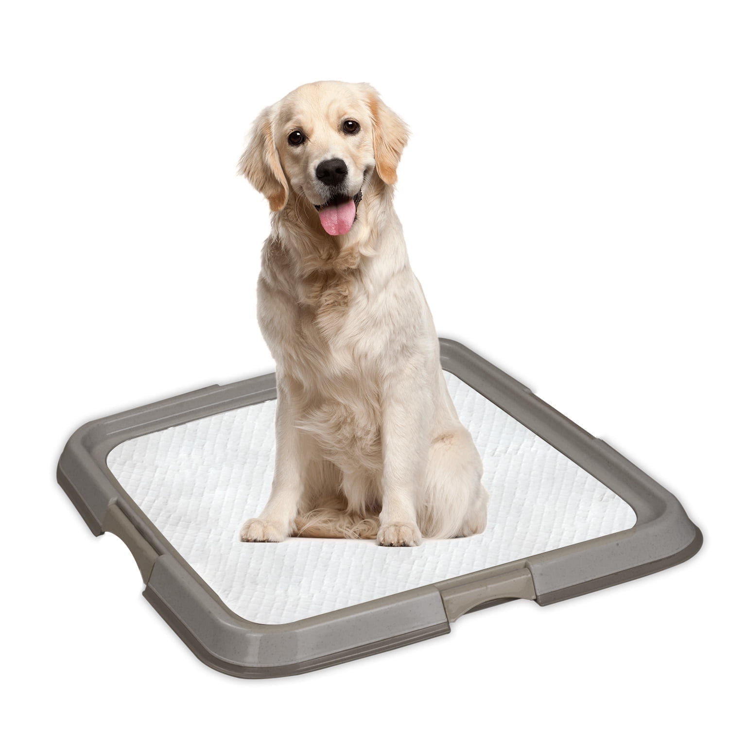 PAWISE Large Dog Pee Pad Holder, 23.6" x 23.6" Indoor Tray - Walmart.com