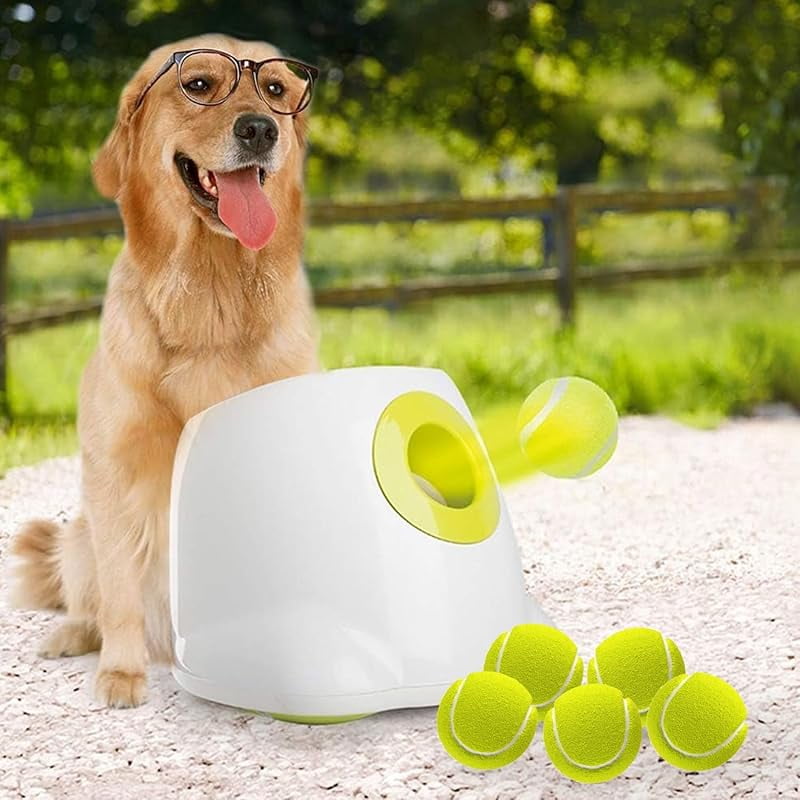 MY ALL FOR PAWS Automatic Dog Ball Launcher for Medium to Large Dogs ...