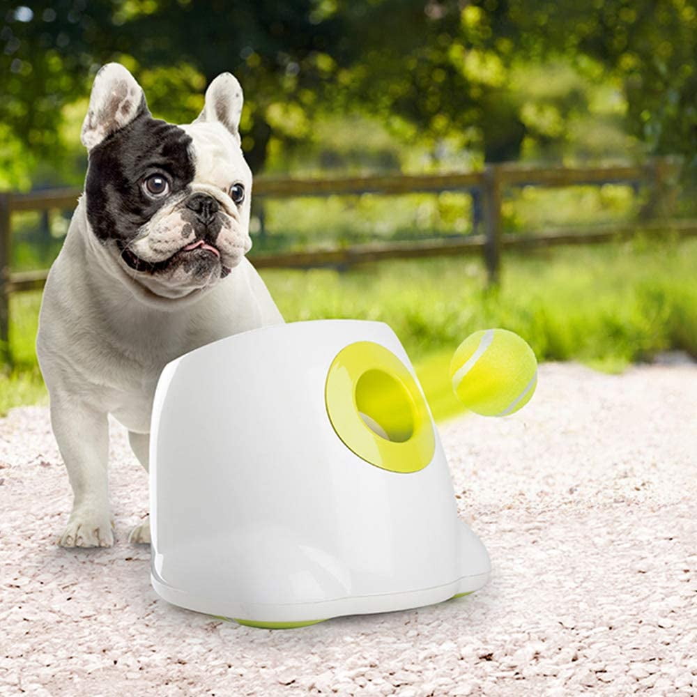 ALL FOR PAWS Original Dog Automatic Ball Launcher for Small and Medium ...