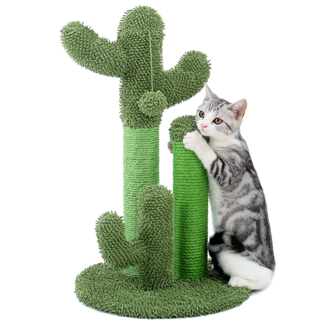 "PAWZ Road Indoor Cactus Cat Scratching Post for Kittens and Adult Cats ...