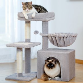 Pawz Road 30 Inch Cat Tree Condo with Dual Condos, Sisal Scratching ...