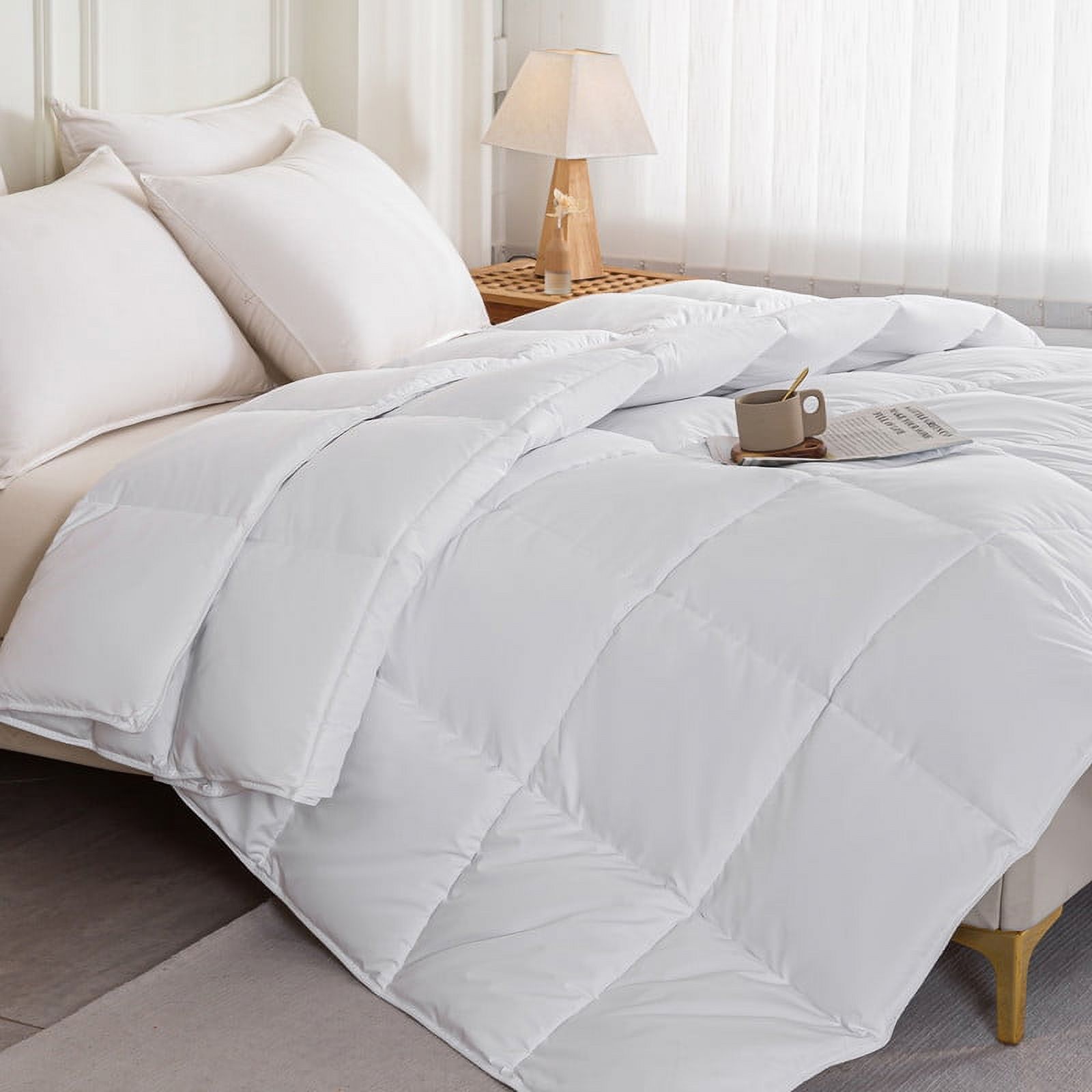 PAYDA All Season Goose Down Comforter Queen Size，Feather Down Comforter with Double Layer Fabric ...