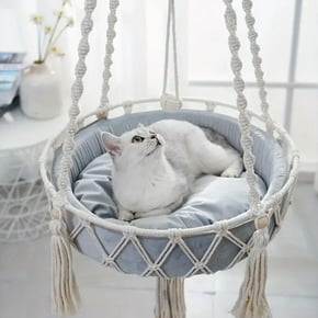 Cat Swing