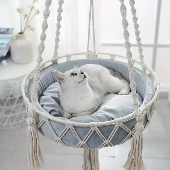 Cat Swing