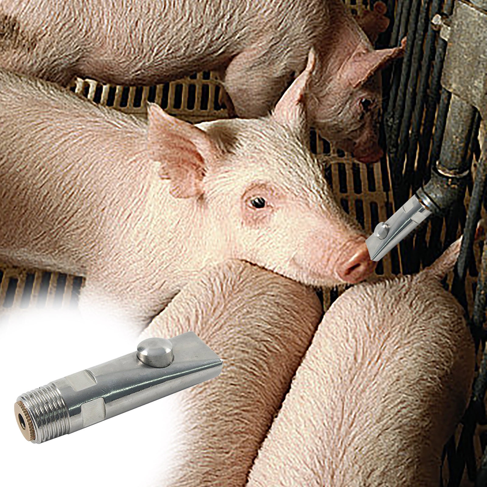 PBAZIH Stainless Steel Copper Cap Pig Automatic Drinking Water System ...