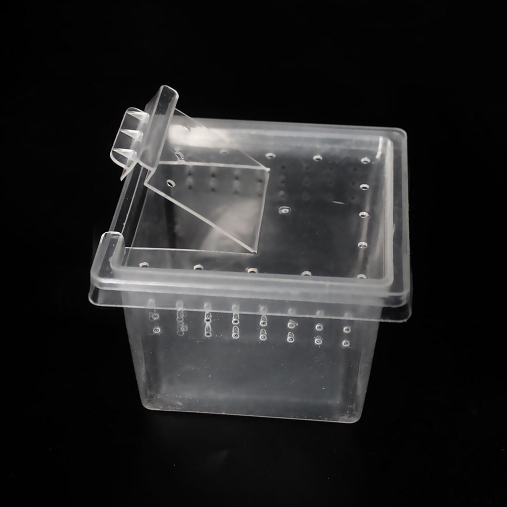 PBPBOX 10Pcs Clear Plastic Reptile Case for Snakes and Tortoises with ...
