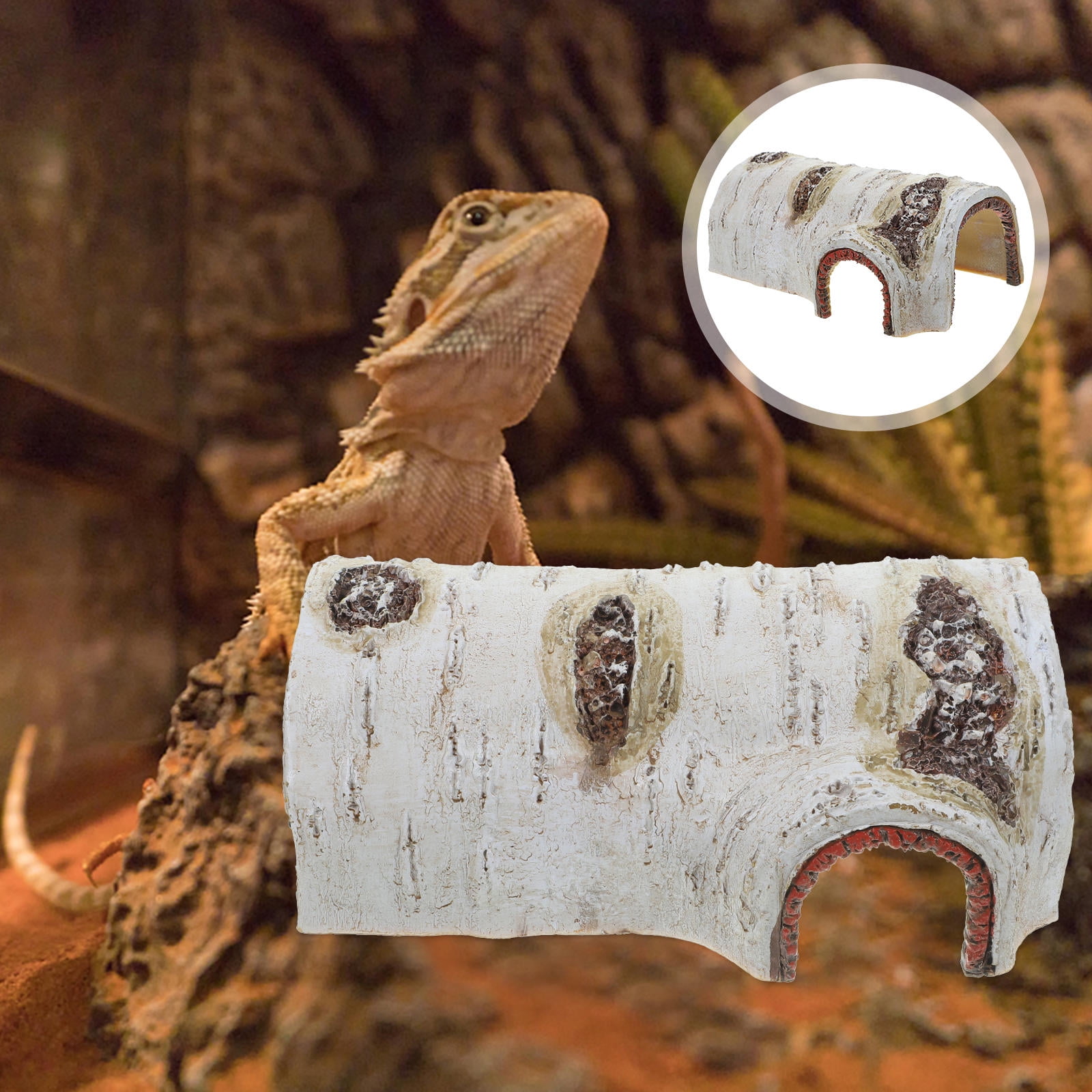 PBPBOX 1Set Reptile Tank Hide Resin Hiding House Assorted Color ...