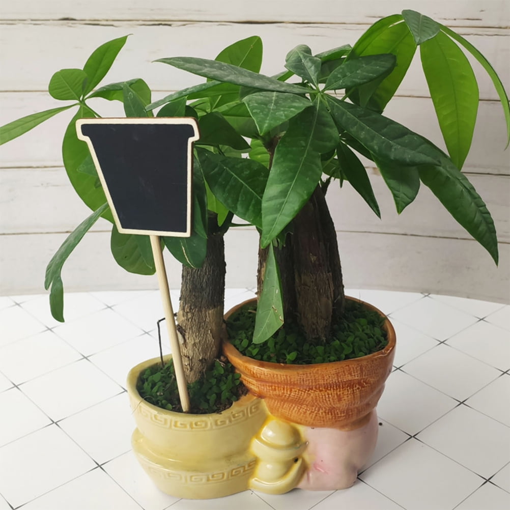 PBPBOX 20pcs Toothpick Chalkboard Signs Wood Plant Pot Sign Assorted ...