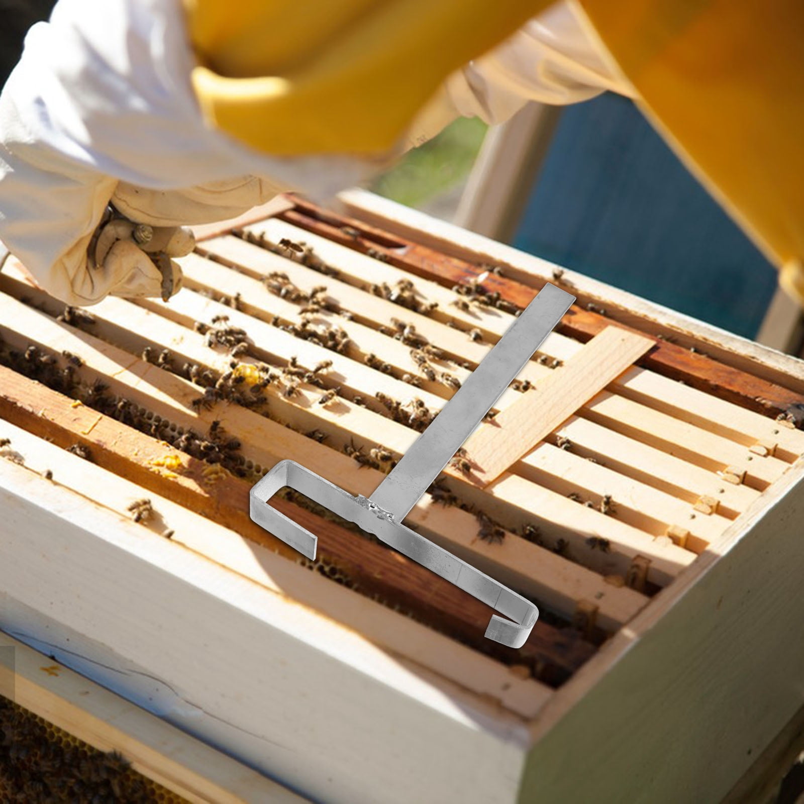 PBPBOX 2Pcs Honey Uncapping Tool Beehive Frame Holder Steel Silver ...