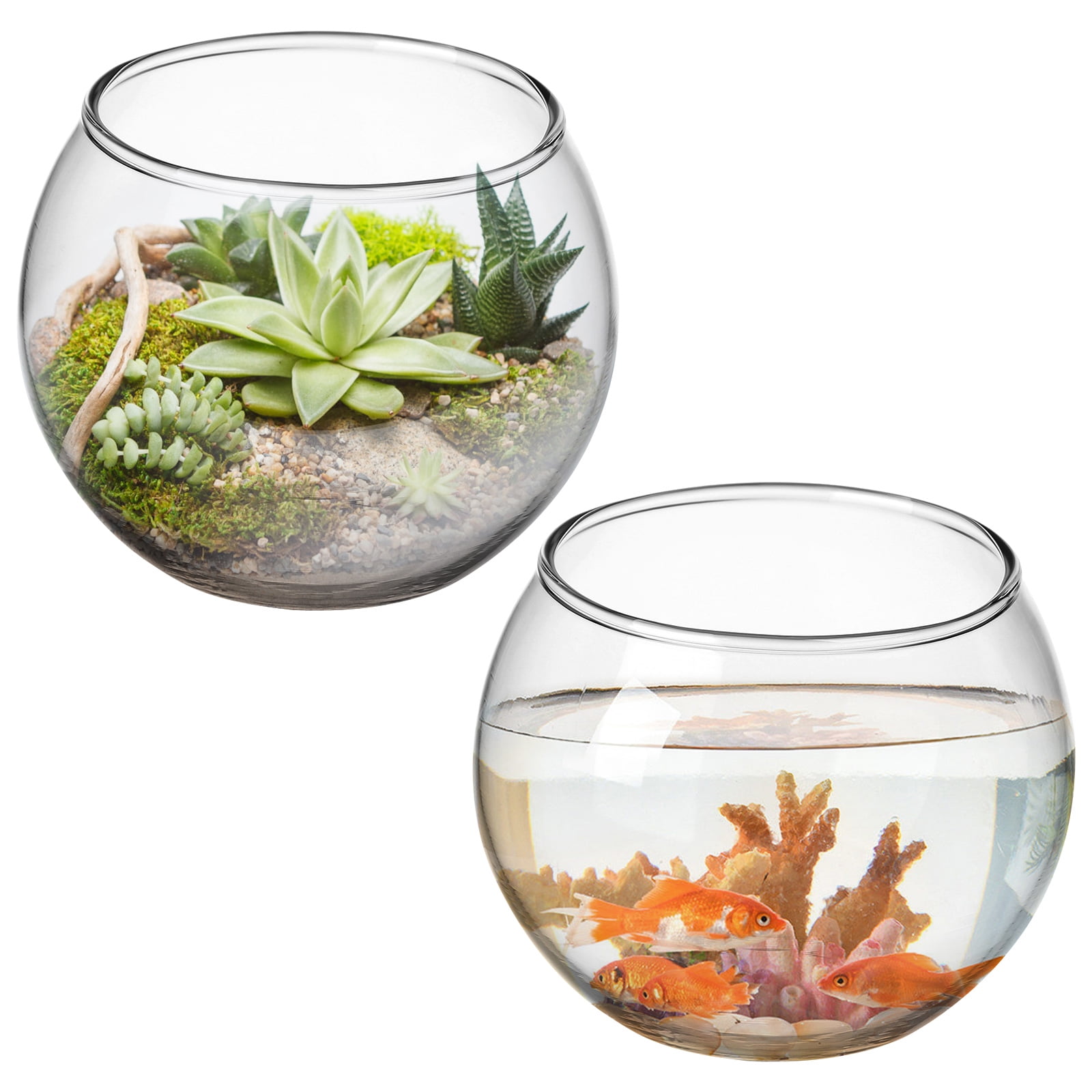PBPBOX 2pcs Desktop Round Glass Planter, Terrarium Flower Vase Round ...