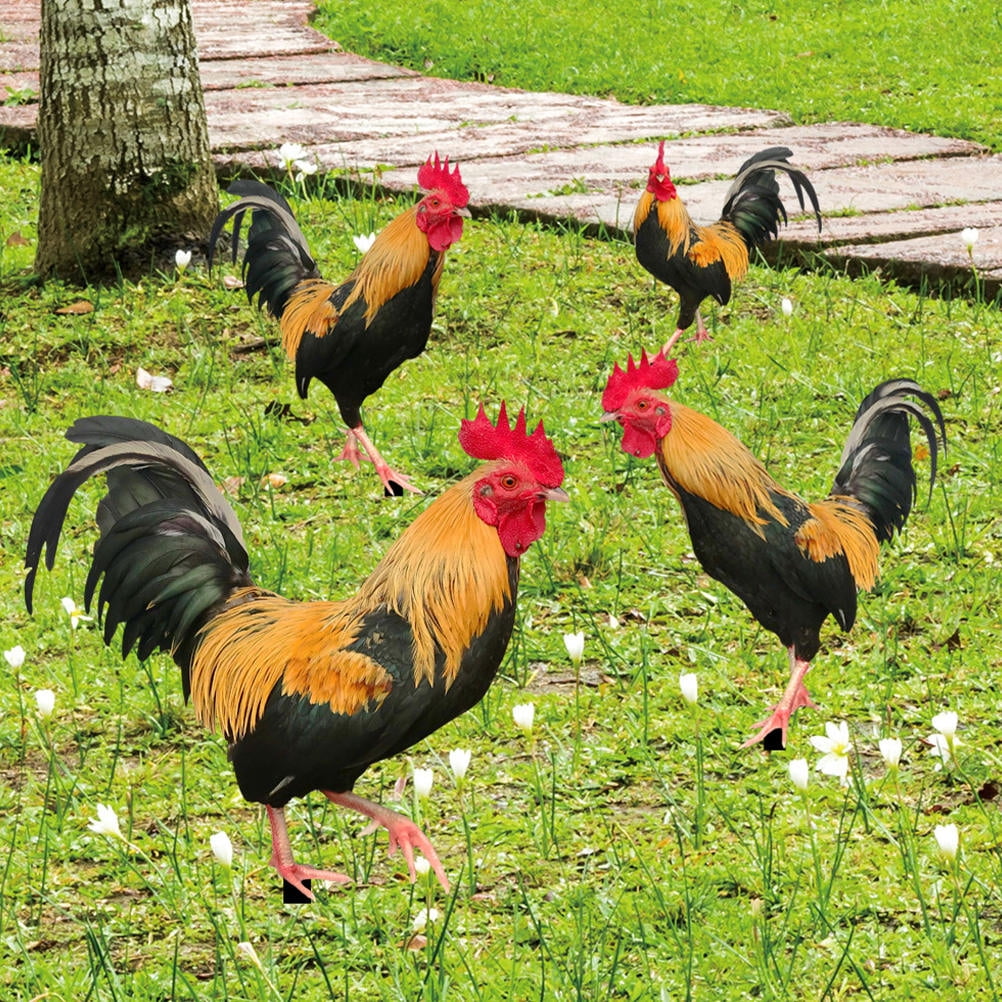PBPBOX 4Pcs Garden Chicken Ground Plug Acrylic Realistic Appearance ...