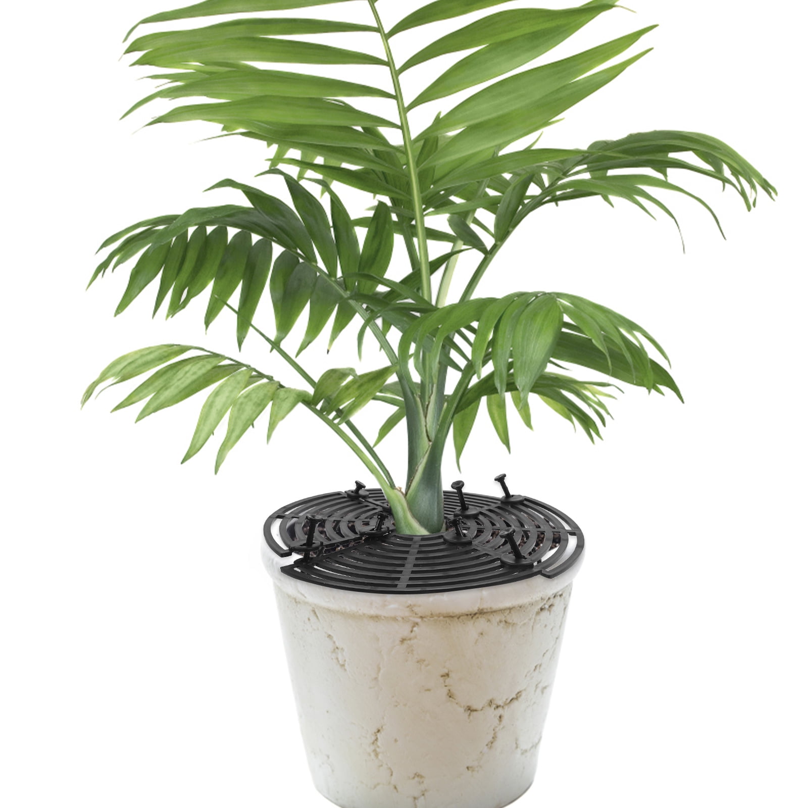 PBPBOX 4Set Black Abs Plastic Square Mesh Plant Pot Grid Cover For ...