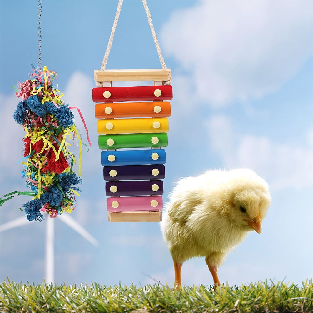 PBPBOX 4pcs Chicken Foraging Wood Xylophone Hanging Coop Plaything For ...