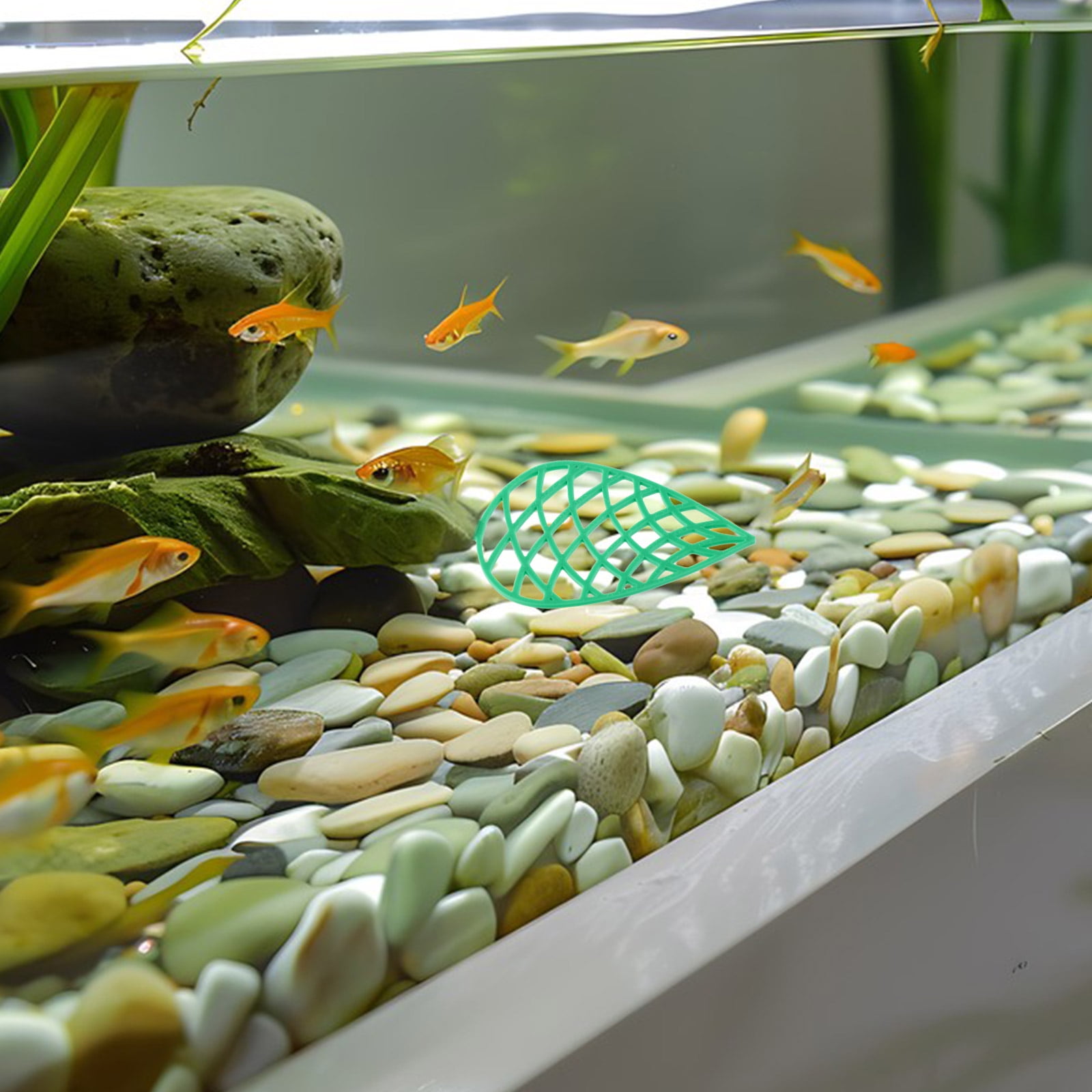 PBPBOX Betta Fish Hammock Green Betta Fish Resting Float for Aquarium ...